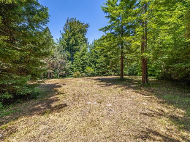 15620 Shane Drive
