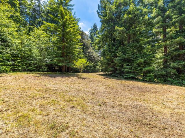 15620 Shane Drive