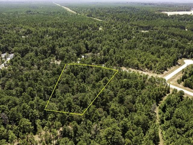 15628 Wood Grove Way, Willis, TX 77378