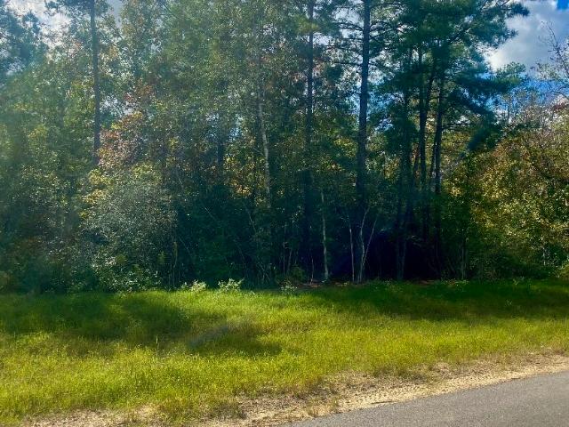 15629 Frst Knl Rd, Willis, TX 77378 | MLS #94927 | Compass