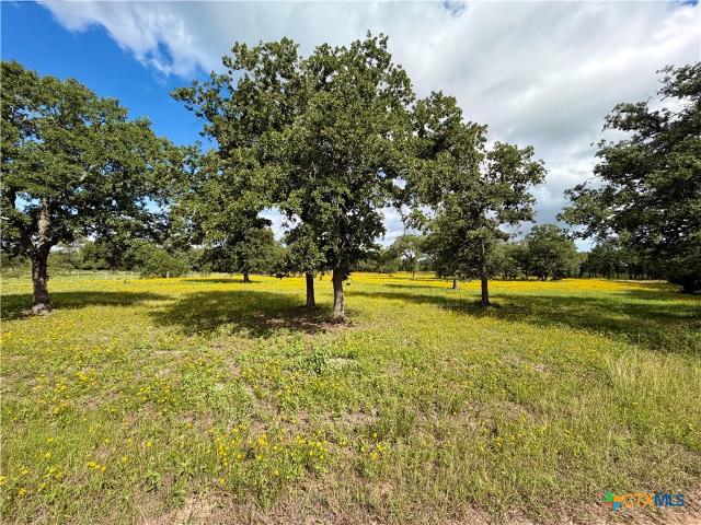 15631 fm 682 tract a