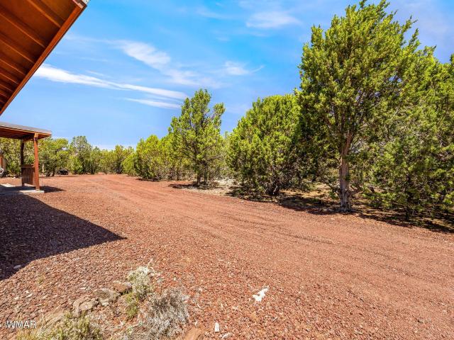 156 County Road 3158