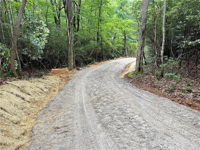 156 Cold Stream Trail