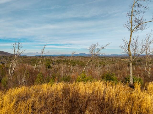 156 ac Higdon Creek Rd, Blue Ridge, GA 30513 | MLS #425062