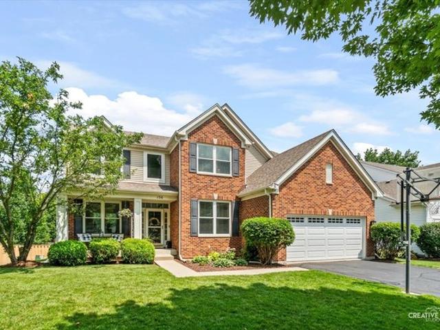 156 Gregory M Sears Dr, Gilberts, IL 60136