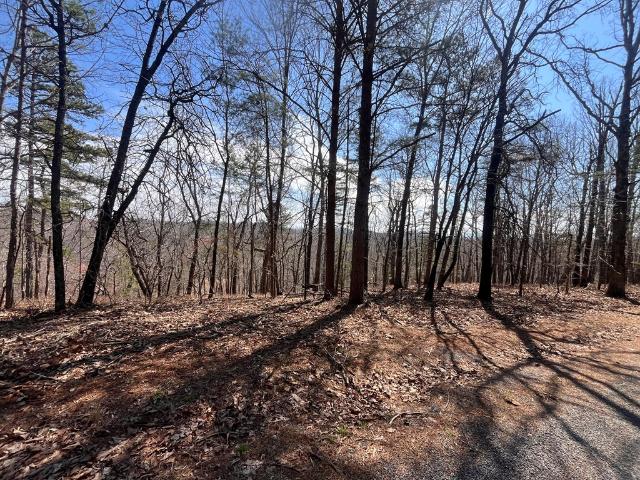 156 Drena Dr, Ellijay, GA 30540 | MLS #428827 | Compass