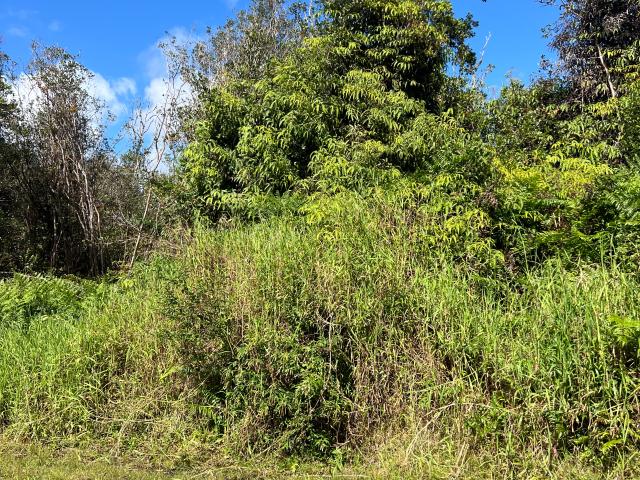 156 Holana St, Mountain View, HI 96771 | MLS #727900