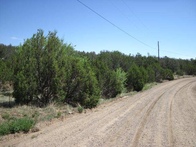 156 Jesse James Road
