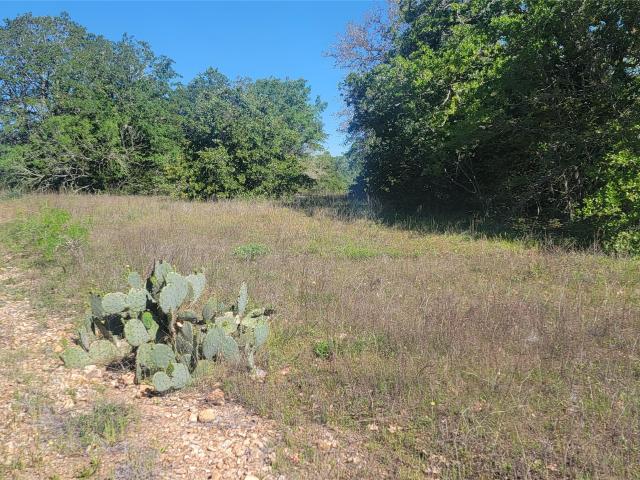 156 Lone Star Cir, Bastrop, TX 78602 | MLS #7247