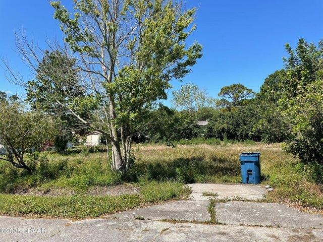 156 Mae St, Oak Hill, FL 32759
