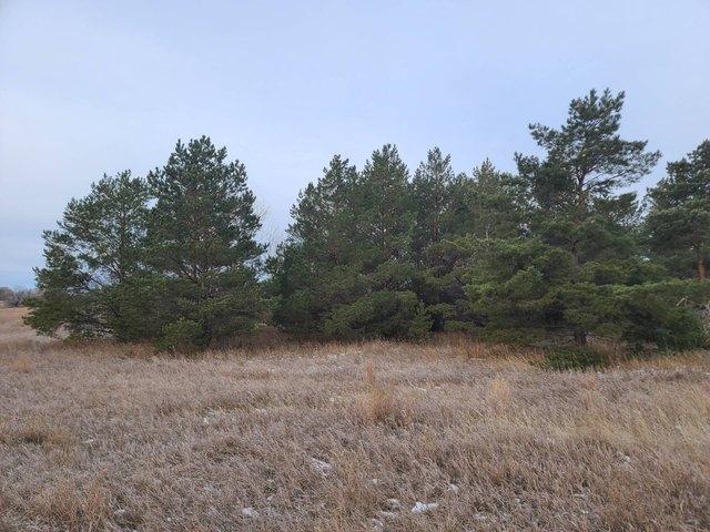 156 Preserve Place Rd, Bottineau, ND 58318