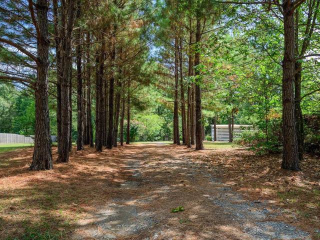 156 River Ln