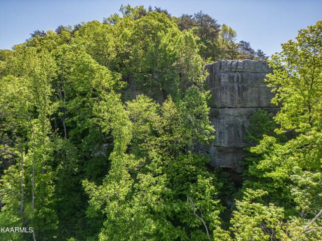156 Westridge Trl, Monterey, TN 38574 | MLS #1235