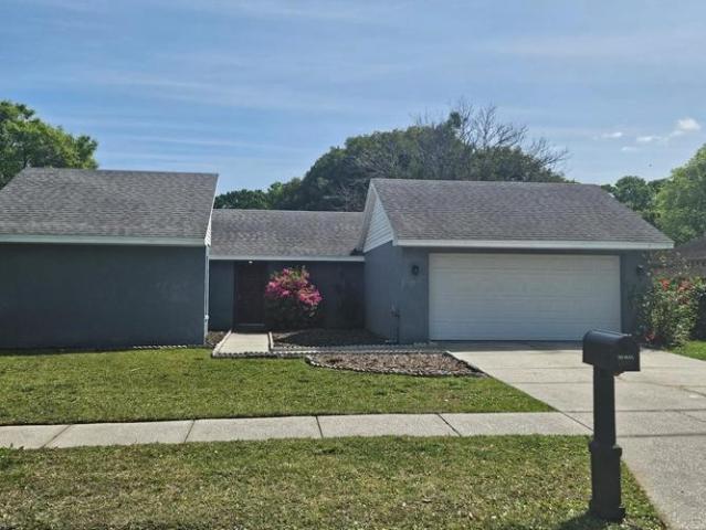 15741 Scrimshaw Dr, Tampa, FL 33624