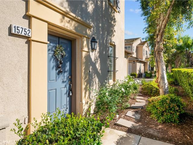 15752 Agave