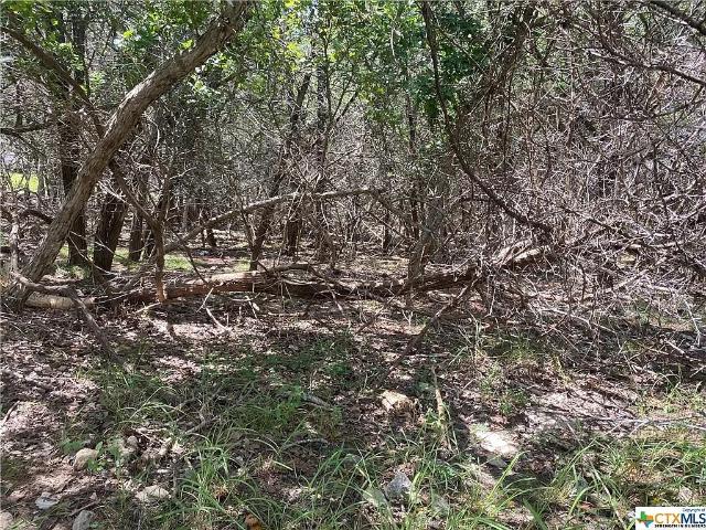 15758 Salado Dr, Temple, TX 76502 | MLS #6857 | Compass