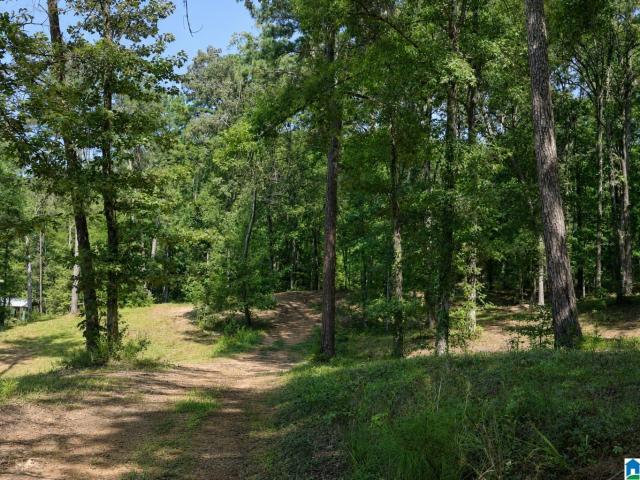 15765 Highway 145