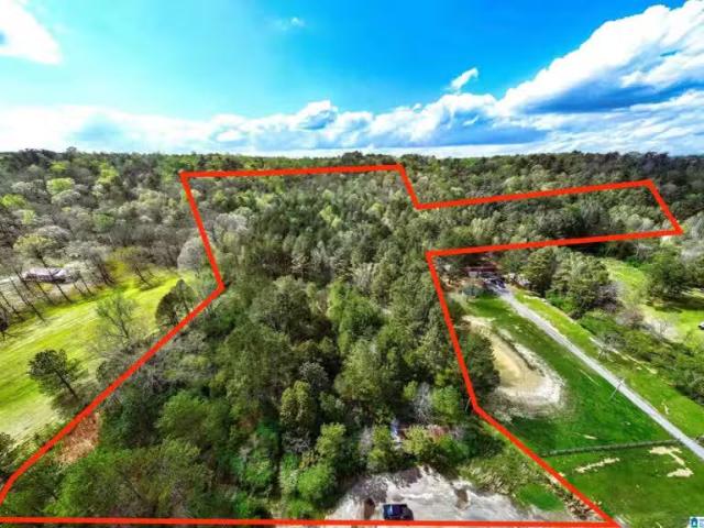 15766 AL HIGHWAY 69 S # 1, BREMEN, AL 35033 Vacant Land For Sa.