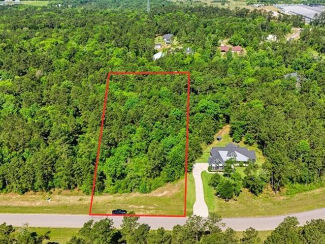15779 Republic Ranch Rd N, Willis, TX 77378