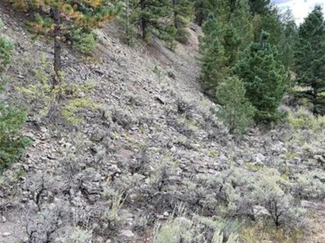 1577 Mears Ln, Salida, CO 81201