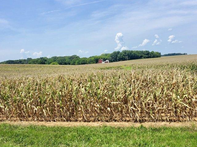 1577 Adairville Rd, Franklin, KY 42134