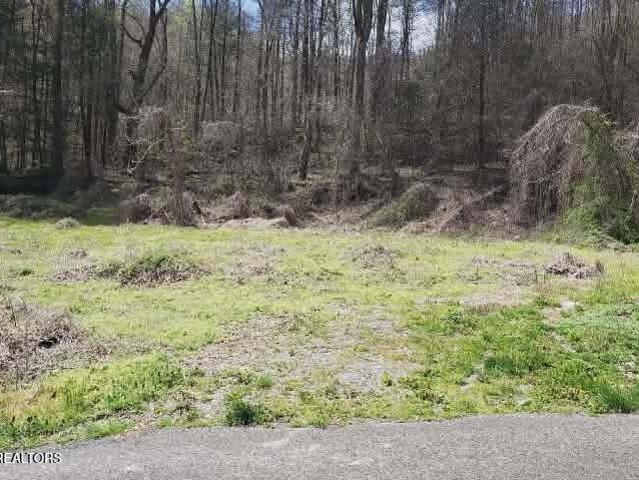 1577 Beans Fork Rd