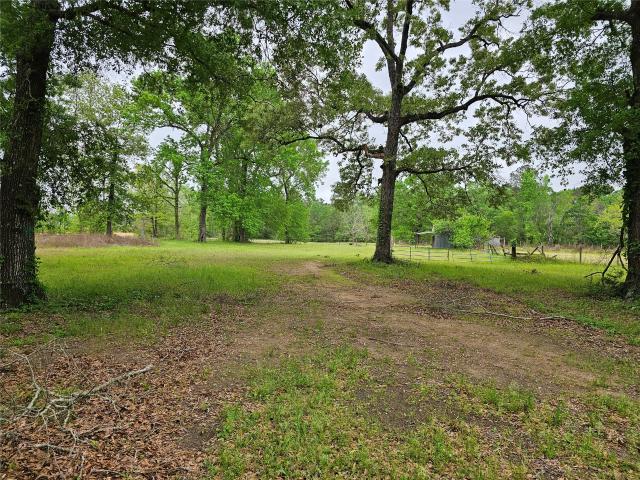 15784 Tree Monkey Rd