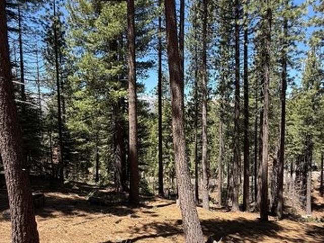 1578 Skyline Dr, South Lake Tahoe, CA 96150