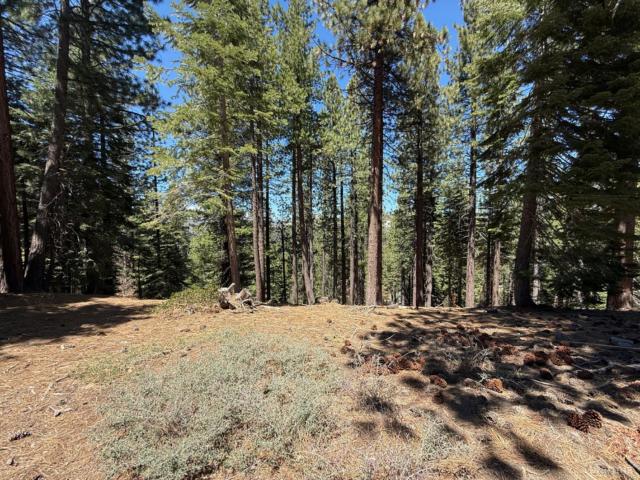 1578 Skyline Dr, South Lake Tahoe, CA 96150 | MLS #141780 | Compass
