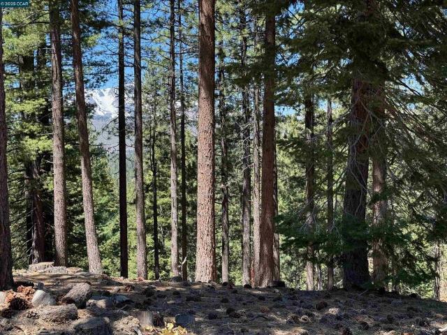 1578 Skyline Drive