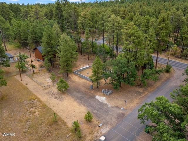 1579 S Arlene Ln Unit 237, Pinetop Lakeside, AZ 85929