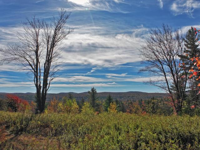 1570 B Washington Mountain Rd, Washington, MA 01223 | MLS #248072