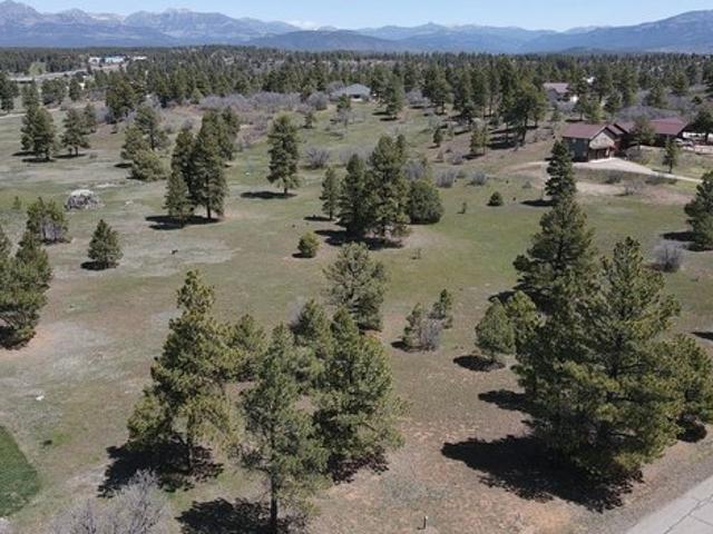 1570 Cool Pines Dr, Pagosa Springs, CO 81147