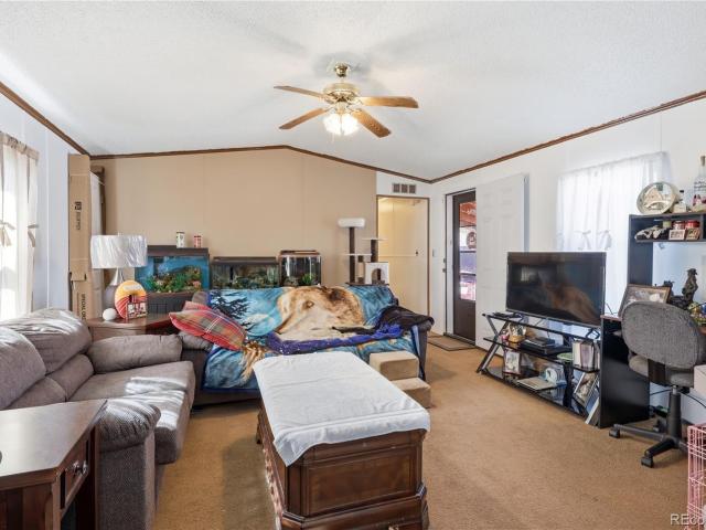 1570 Sedalia Way