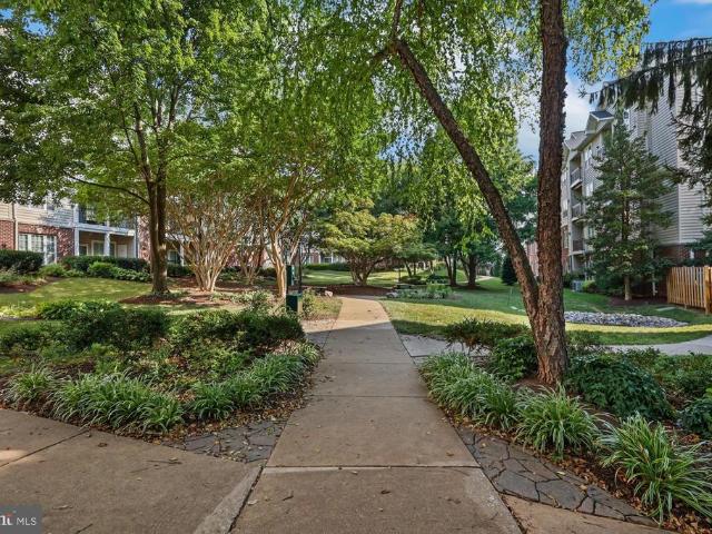 1570 Spring Gate Drive # 7203
