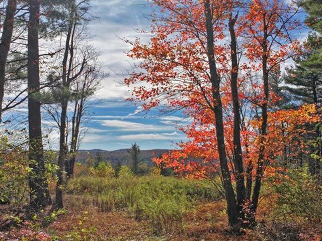 1570B Washington Mountain Rd, Washington, MA 01223
