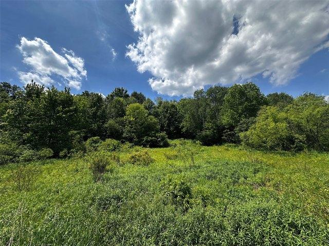 15710 Beaverdam Rd, Union City, PA 16442