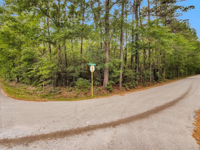 15711 Tree Monkey Rd