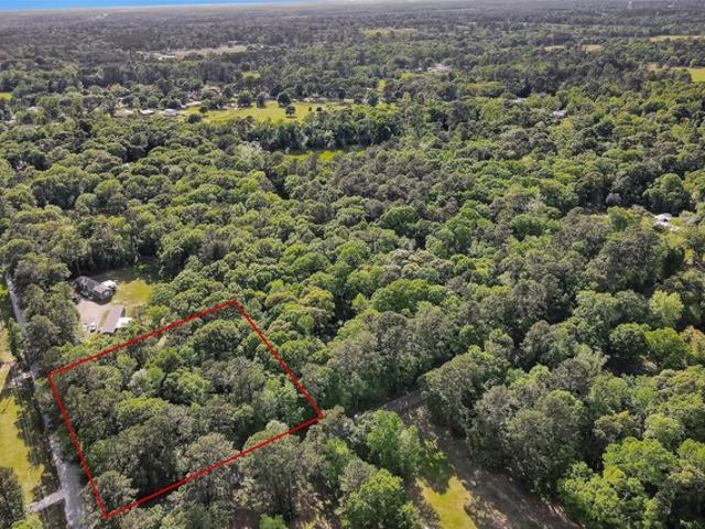 15711 Tree Monkey Rd, Conroe, TX 77303