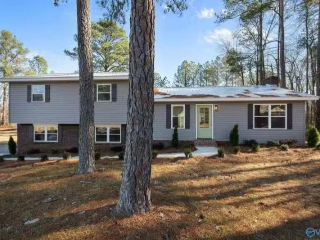 1571 LEE ST, SOUTHSIDE, AL 35907
