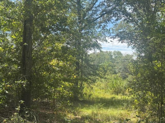 1571,1651 Creek Mill Road