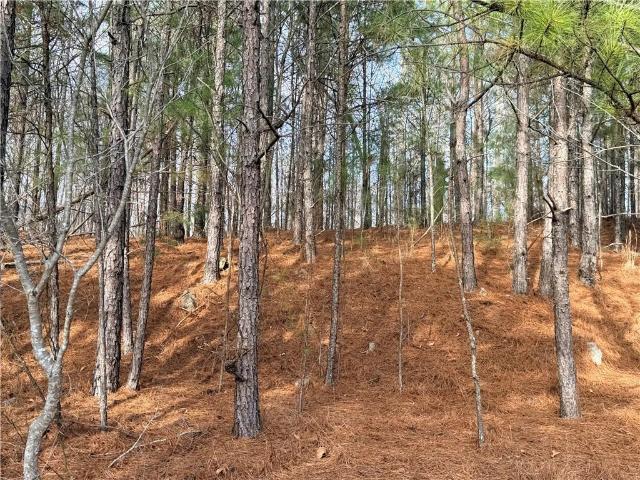 1573 Norris Lake Way, Snellville, GA 30039 | MLS #7706 | Compass