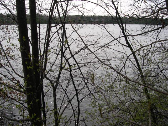1573 Edgewater Ridge # Lot: 5