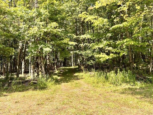 1573 White Knoll Rd, Ulysses, PA 16948
