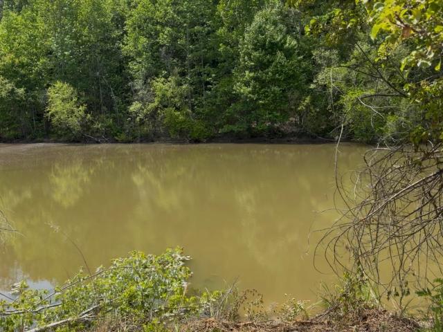 157 County Road 144