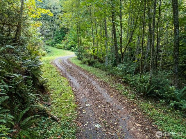 157 Chuckanut Crest Dr, Bellingham, WA 98229 | MLS #2442