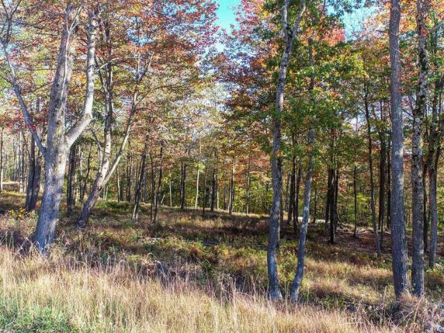 157 Fork Run Trail