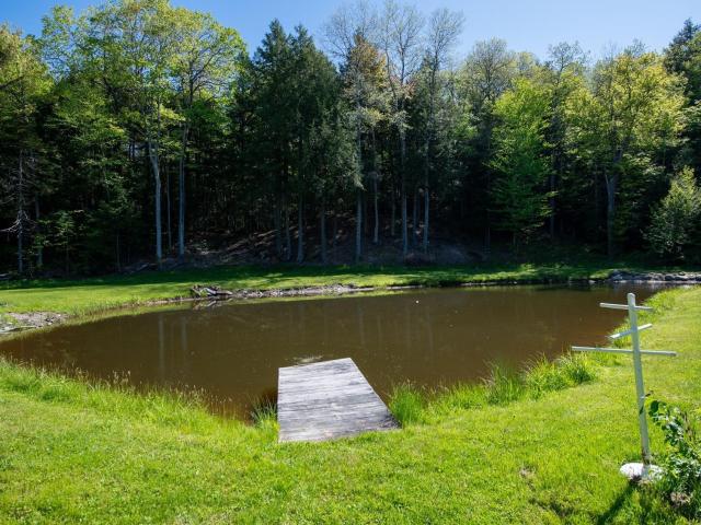 157 Old Sawmill Road, Londonderry, US, VT