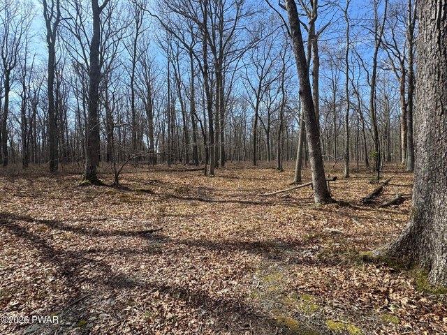 157 Mountaintop Rd, Lackawaxen, PA 18435