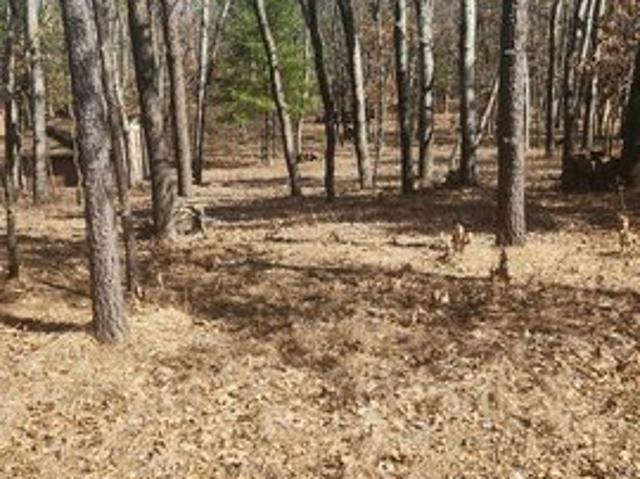 1584 Kingswood Trl, Nekoosa, WI 54457